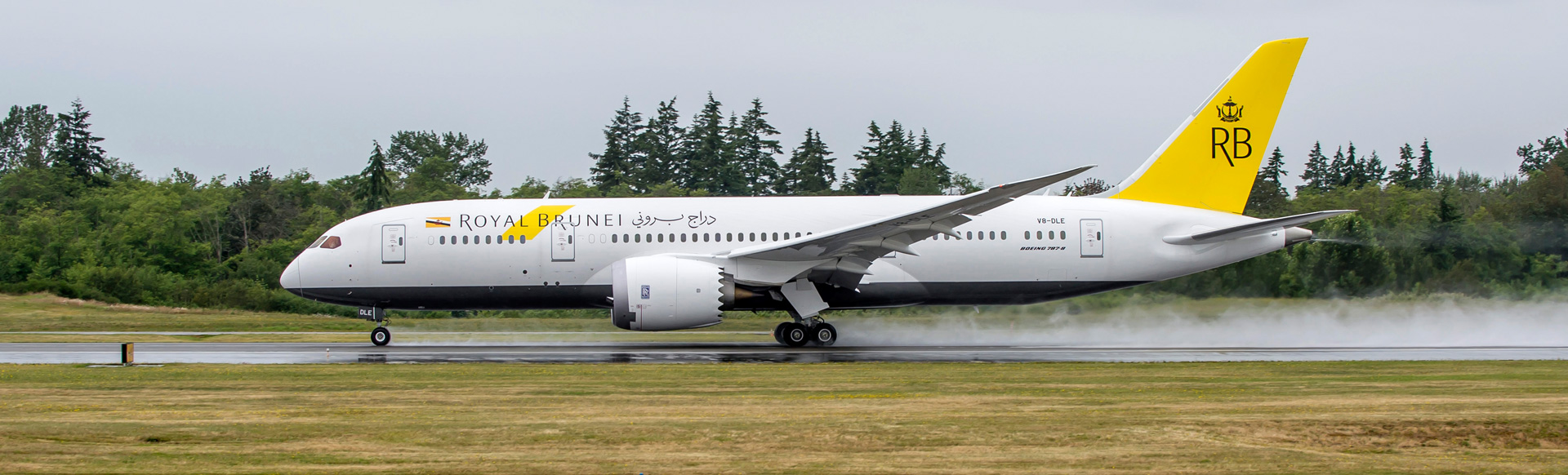 Airlines Fleet - Brunei | Royal Brunei Airlines