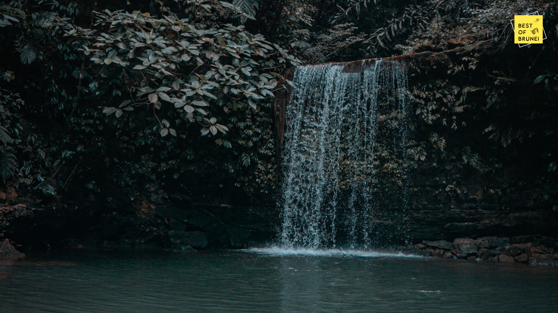 Discover Brunei’s Best Waterfalls: Nature & Wildlife Adventure