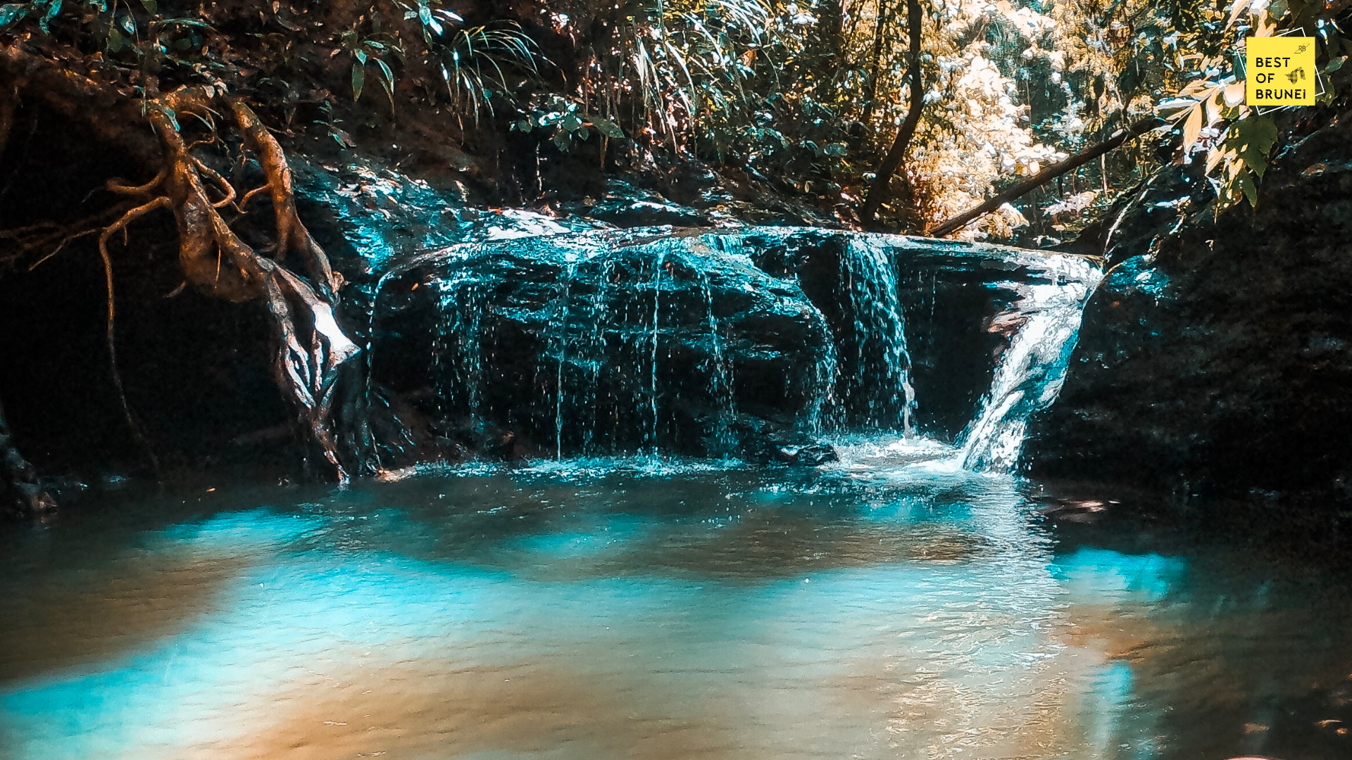 Discover Brunei’s Best Waterfalls: Nature & Wildlife Adventure